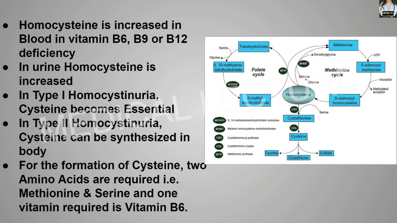 BIOCHEMISTRY IMP NOTES TO SOLVE MCQs & ONE LINERS || PART:23 || MEDICAL ...