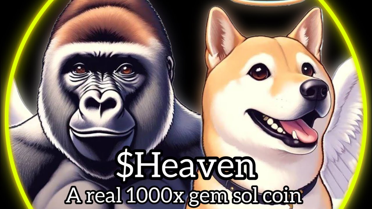 Heaven Coin | Elon Musk Tweeted | Not To Late - YouTube