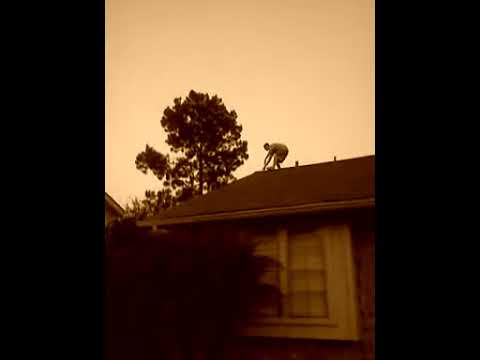 Creature screams,on roof - YouTube