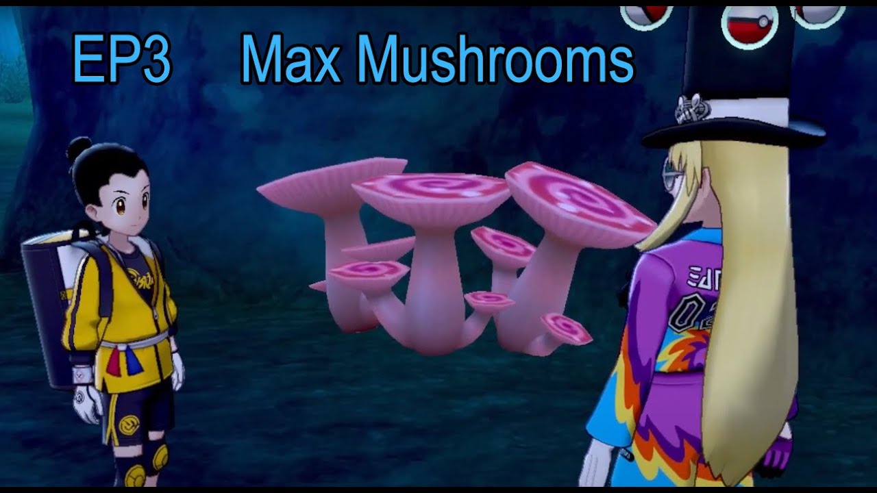 Pokemon Shield DLC: EP3 - Second Master Dojo Trial: Max Mushrooms - YouTube