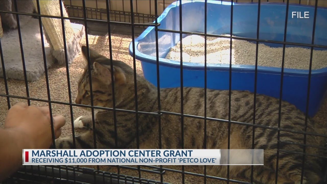 Marshall Pet Adoption Center to receive $11K grant to continue ...