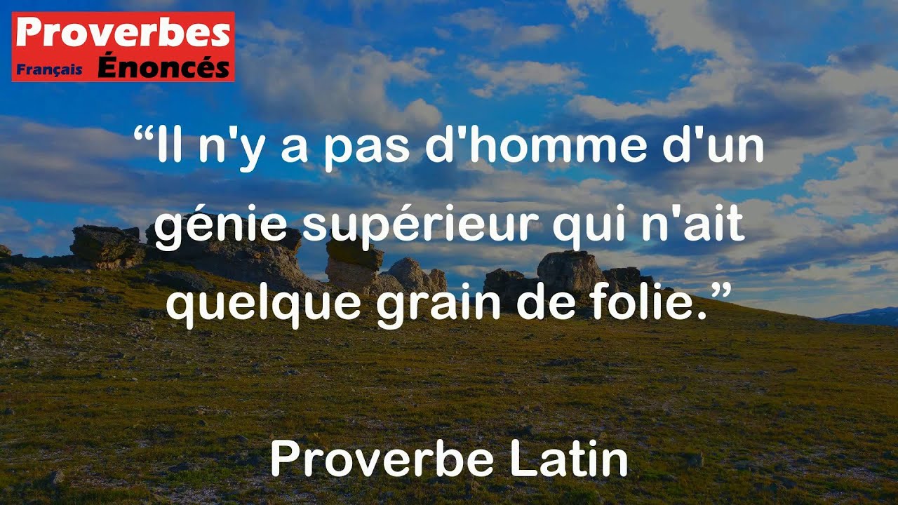 Proverbe Latin - Il n'y a pas d'homme d'un génie supérieur qui n'ait ...