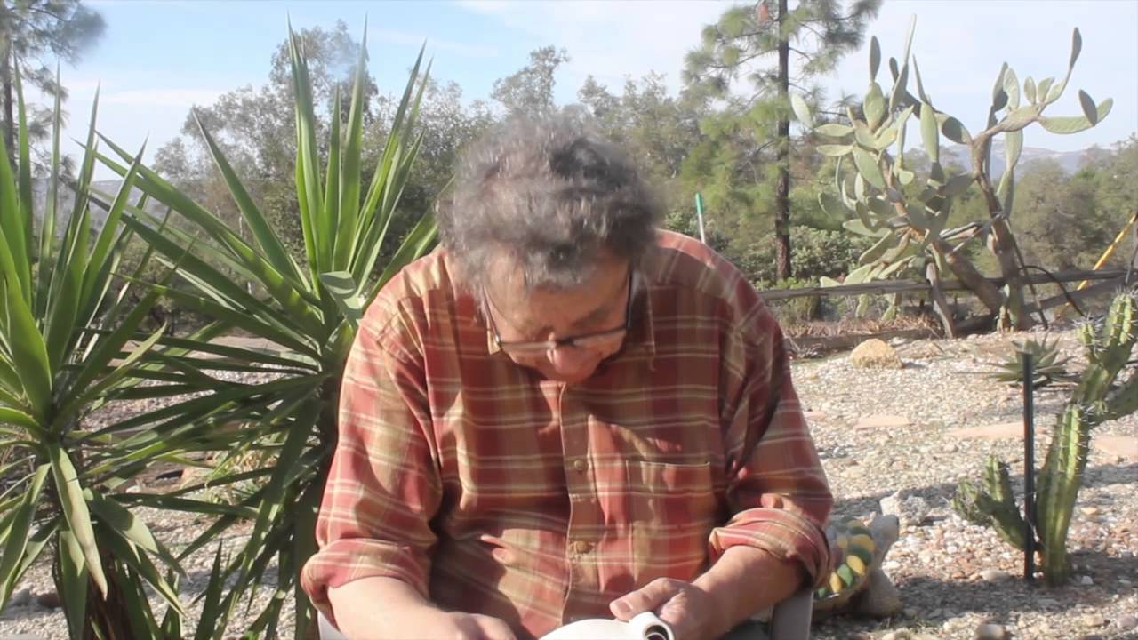 Steve Kowit - "Perognatious Fallax" - YouTube