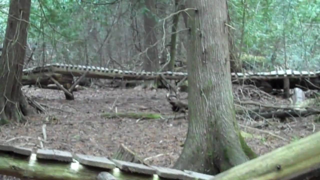 Skinny Riding - YouTube