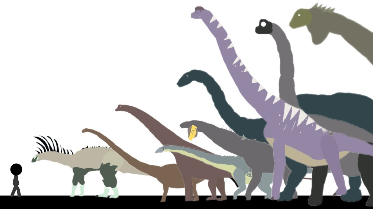 Sauropods| Animated Size Comparison - YouTube