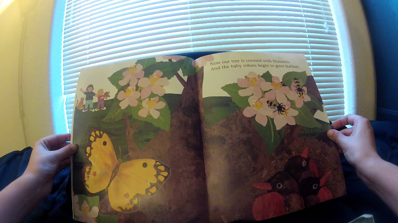 The Apple Pie Tree - YouTube