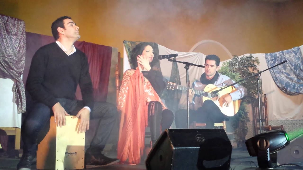 Alejandra Almendro Gala flamenca Asnia 2014 - YouTube
