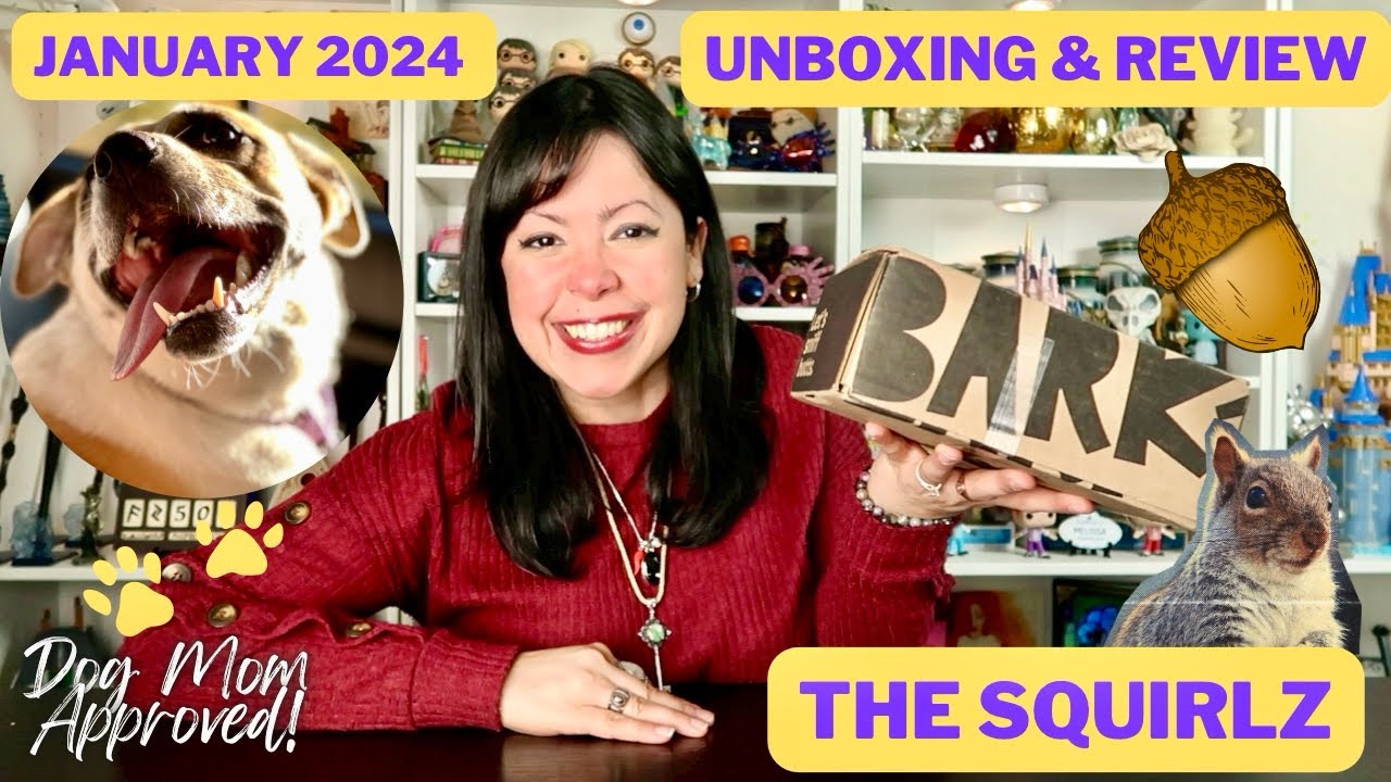 BARK BOX SUPER CHEWER! | THE SQUIRLZ | January 2024 | A Dog Parent ...