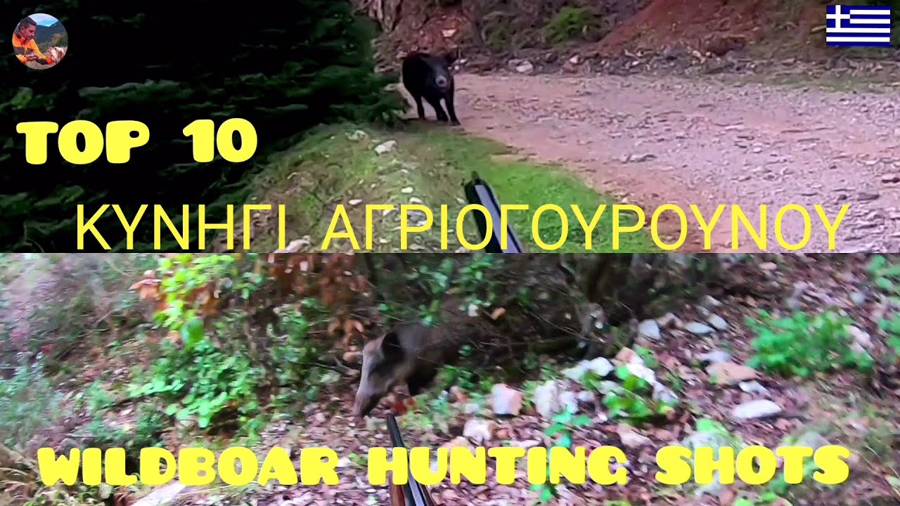 ΚΥΝΗΓΙ ΑΓΡΙΟΓΟΥΡΟΥΝΟΥ-TOP 10 WILD BOAR HUNTING SHOTS - FLASHBACK - YouTube