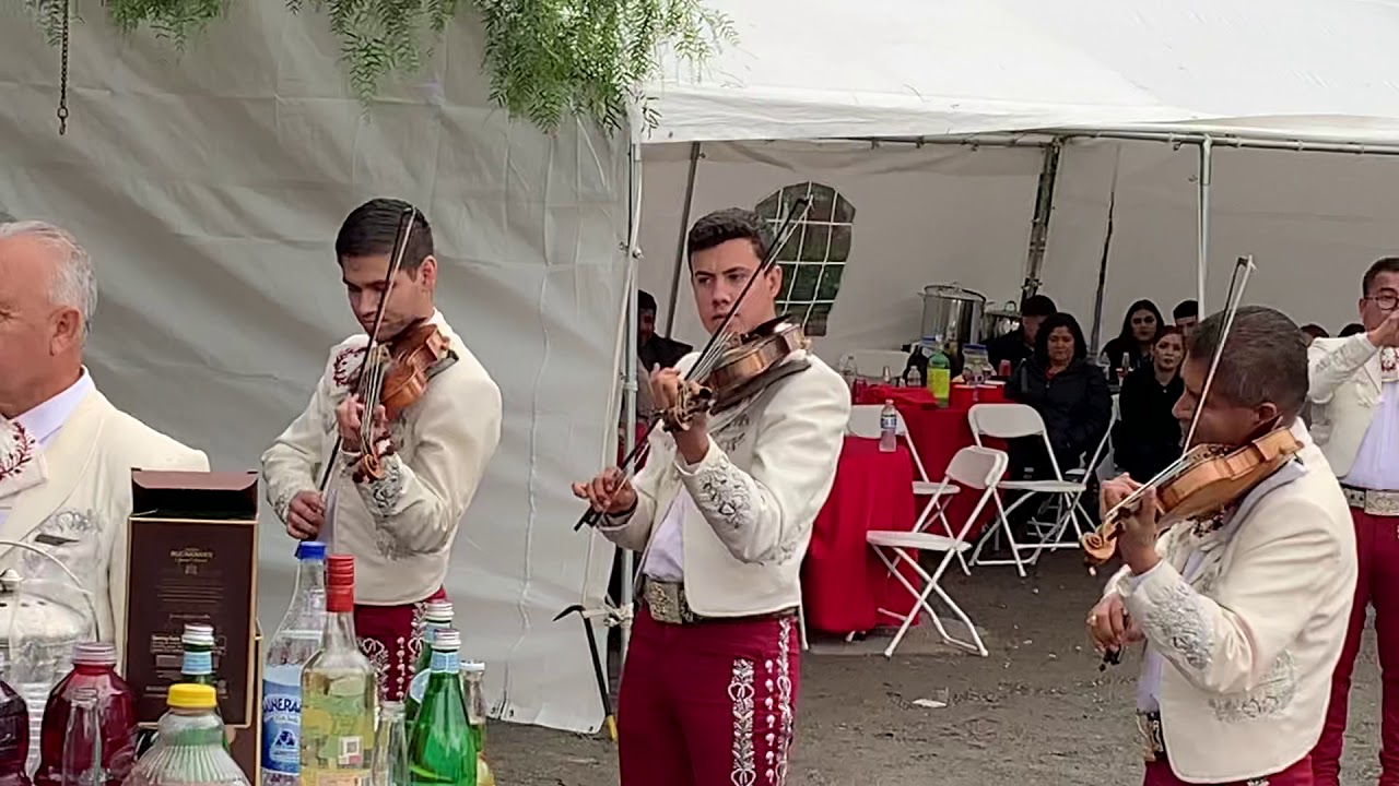 Mariachi los Pérez en bay point California - YouTube