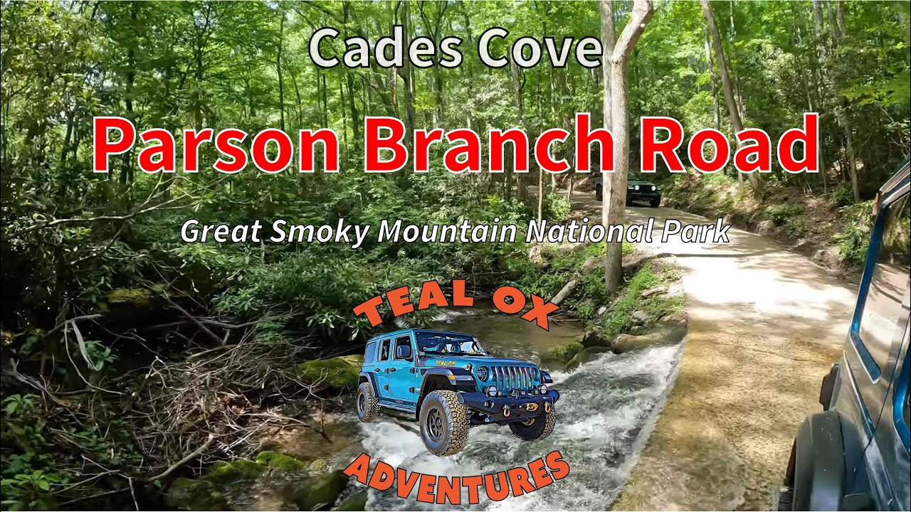 Parson Branch Road, a Road Less Traveled in the Great Smoky Mountains ...