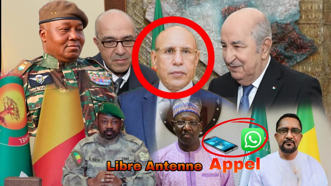 Émission Diaspora situation en Mauritanie hier le président Habib Sylla ...