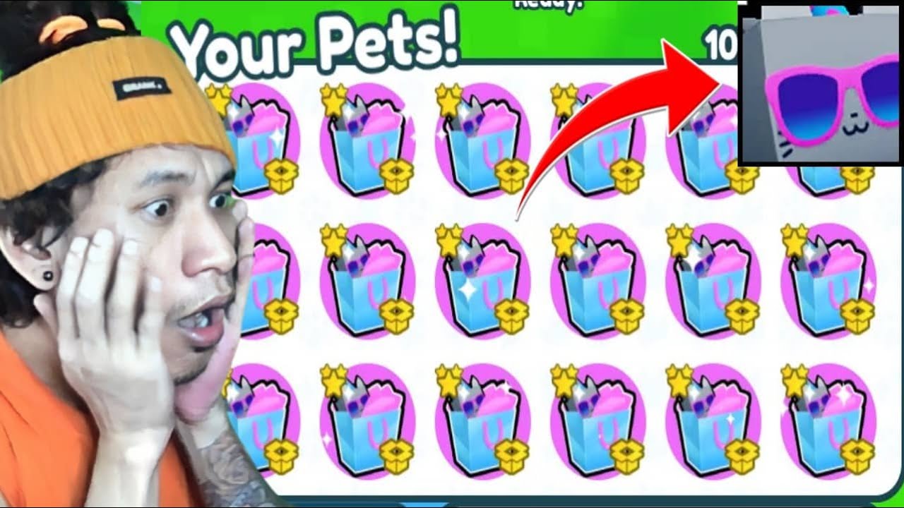 Getting The Huge Party Cat, I Opened A Lot of Anniversary Gifts In Pet ...