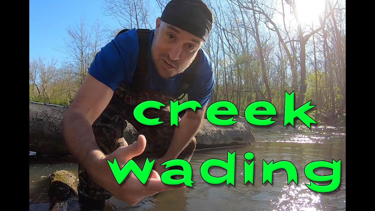 CREEK WADING (i caught a BUNCH!!!) - YouTube