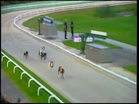 2017 GMG PUPPY CLASSIC - 1ST SEMI - T5 DROOPYS GOLD - YouTube