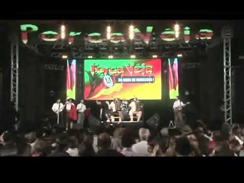 MUSICA GAÚCHA PORCA VEIA