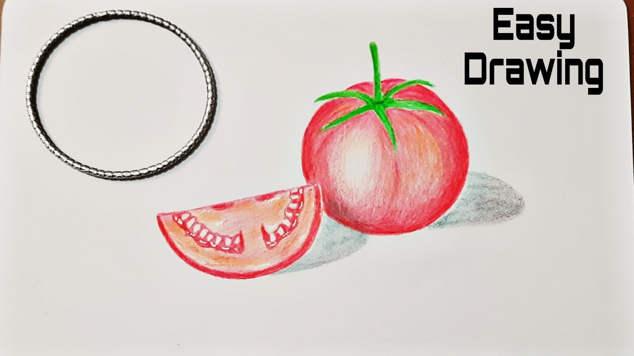 How to Draw a Tomato Step by Step (very easy) Drawing || Tomato Drawing ...