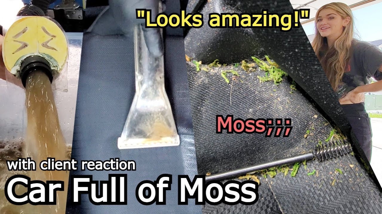 Car Full of MOSS.. Here is WHY | Amazing Detailing Result with Client ...