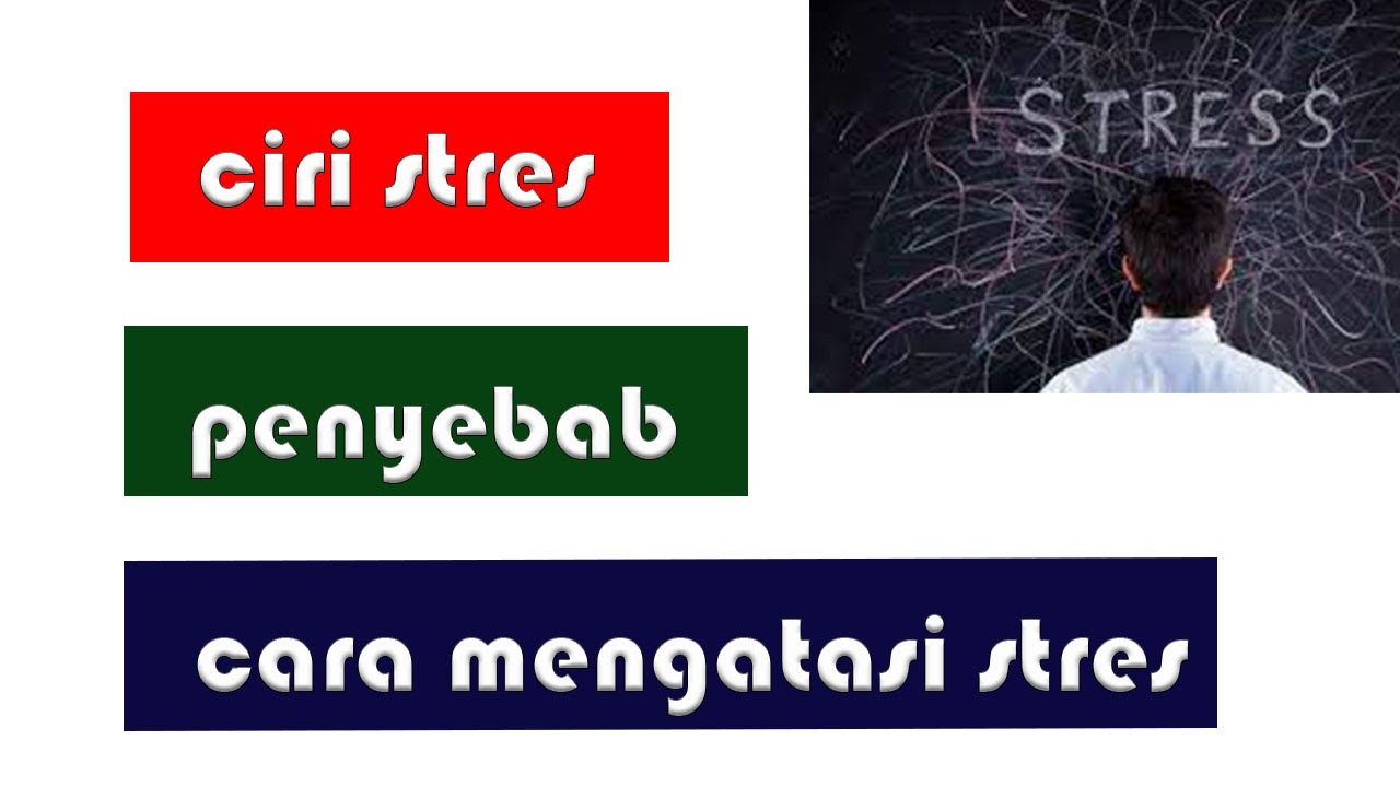 CIRI STRESS || PENYEBAB STRESS || CARA MENGATASI STRESS - YouTube
