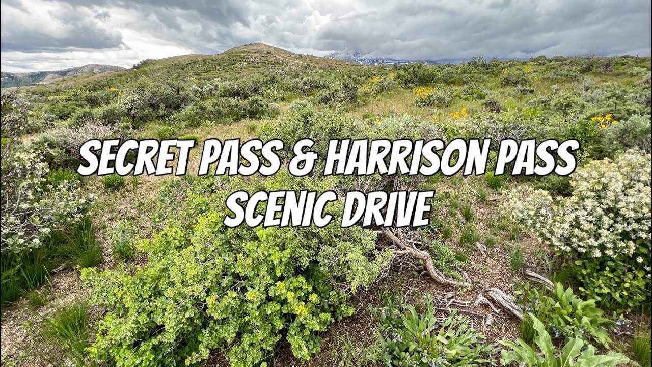Enjoy the beauty of Secret Pass and Harrison Pass Nevada. - YouTube