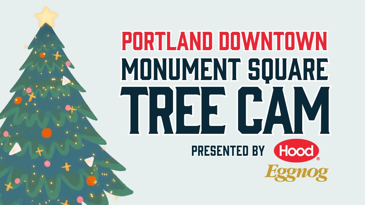Monument Square Tree Cam Presented By Hood® Eggnog - YouTube