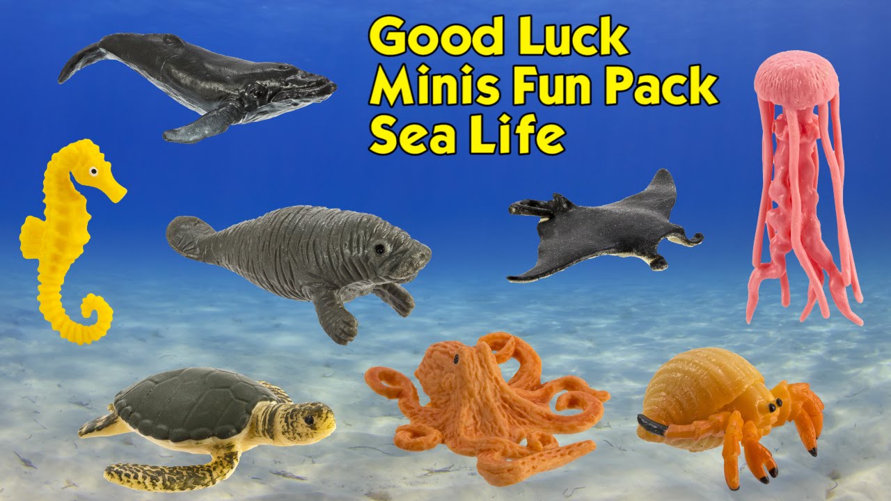 SafariLTD Sea Life Minis Fun Pack - YouTube