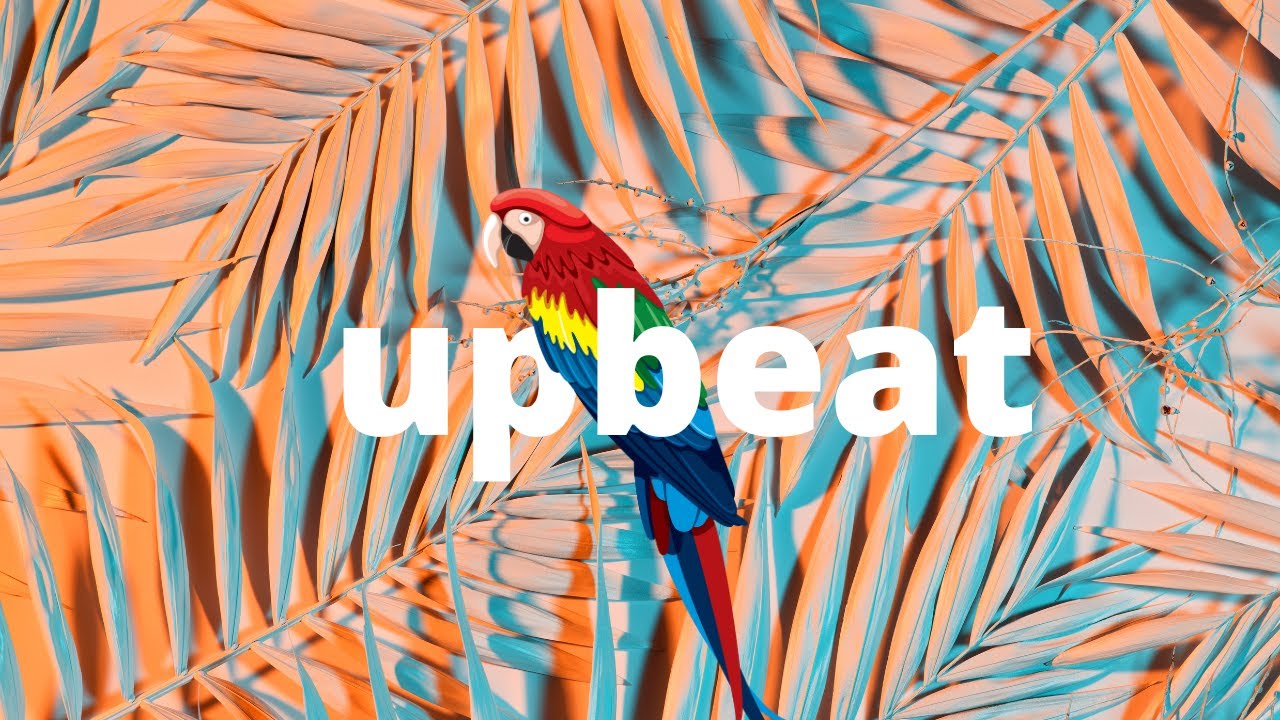Exciting Happy Dance Cool No Copyright Upbeat Background Music for ...