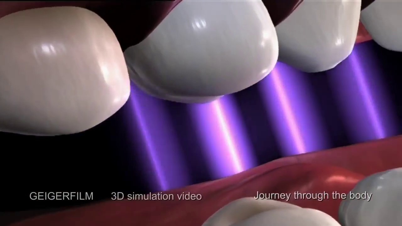 Journey through human body;3D animation film by crash courses - YouTube