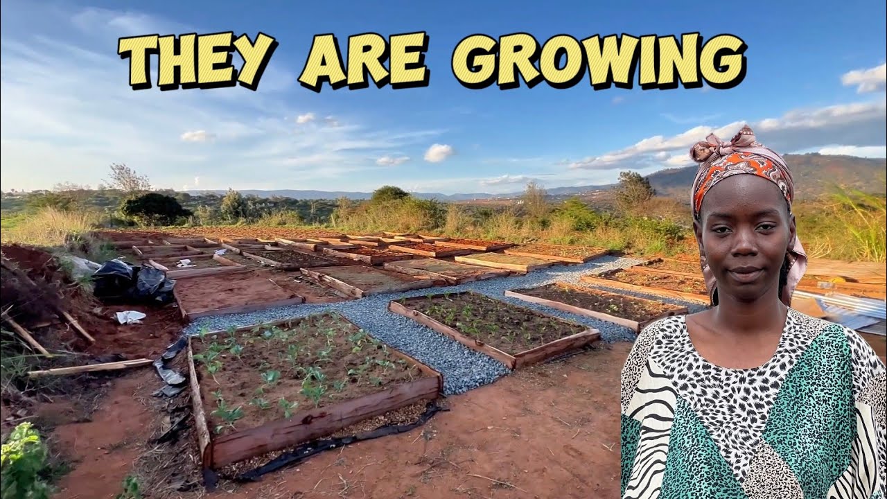 🚗 Parking Area FINISHED! Garden Progress & Full African Farm Update 🌱 ...