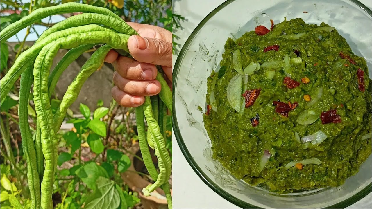 শিলপাটায় বরবটি ভর্তা বানানোর রেসিপি /Bangali style Borboti vorta ...