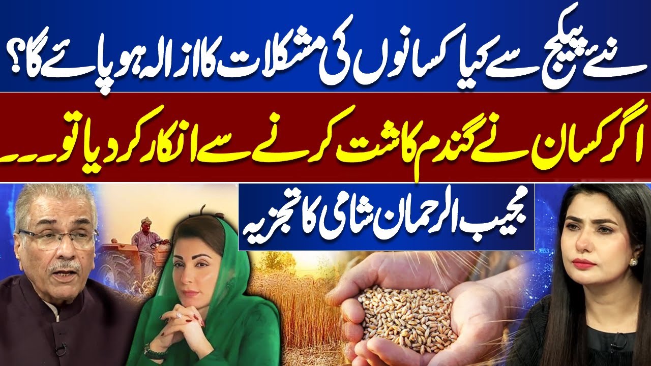 Will Wheat Package Solve Problems of Farmers? | Farmer Refuses To ...