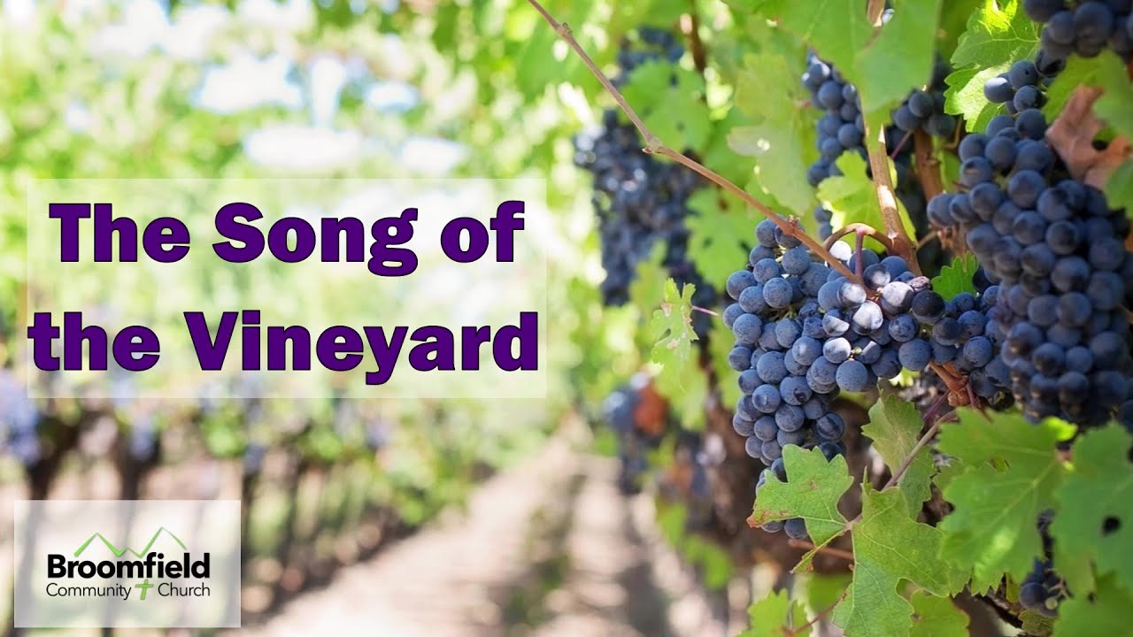 The Song of the Vineyard - YouTube