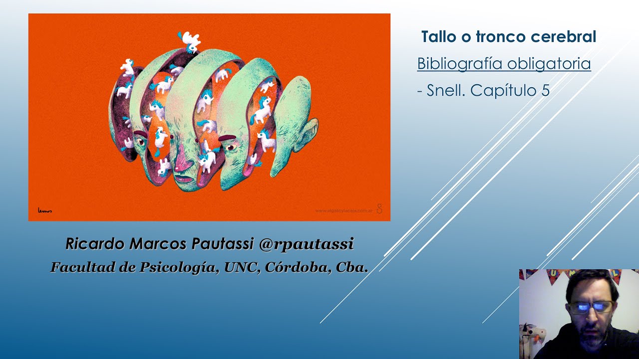 TEORICO NEUROF. Tallo Cerebral 2/5 - YouTube