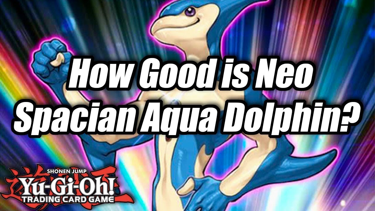 Yu-Gi-Oh! How Good is Neo Spacian Aqua Dolphin? - YouTube
