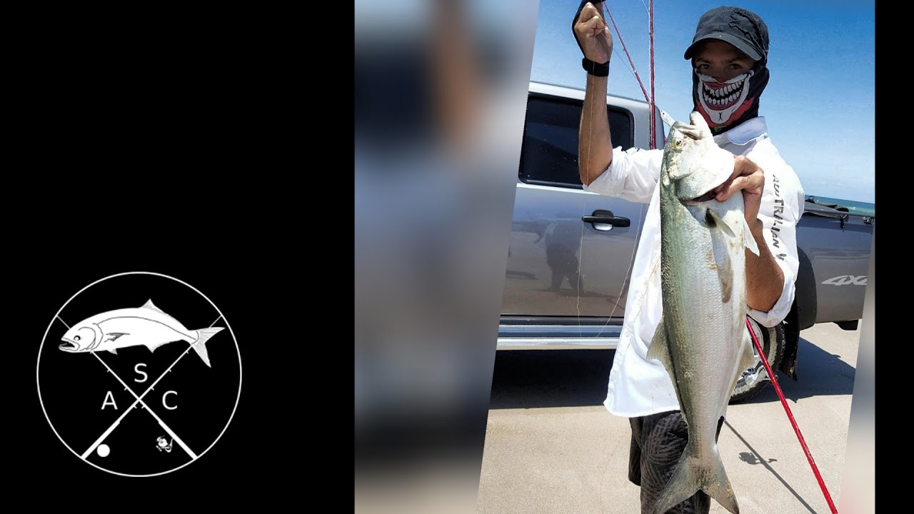 Tailor Fishing - 'Summer Time'' Season 2 Episode 2- Metal lure spinning ...