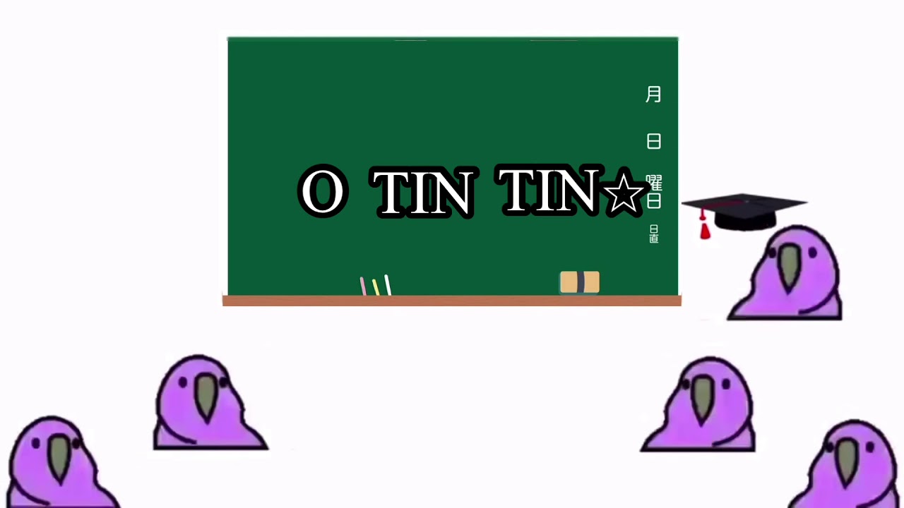 【Party Parrot/TINTIN parrot】TIN-TIN Disco【ゲーミングインコ】 - YouTube