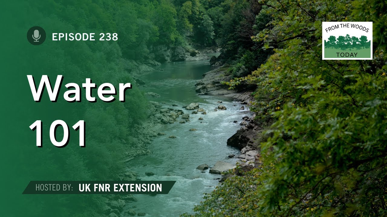 Water 101 and Timber Trespass - Episode 238 - YouTube
