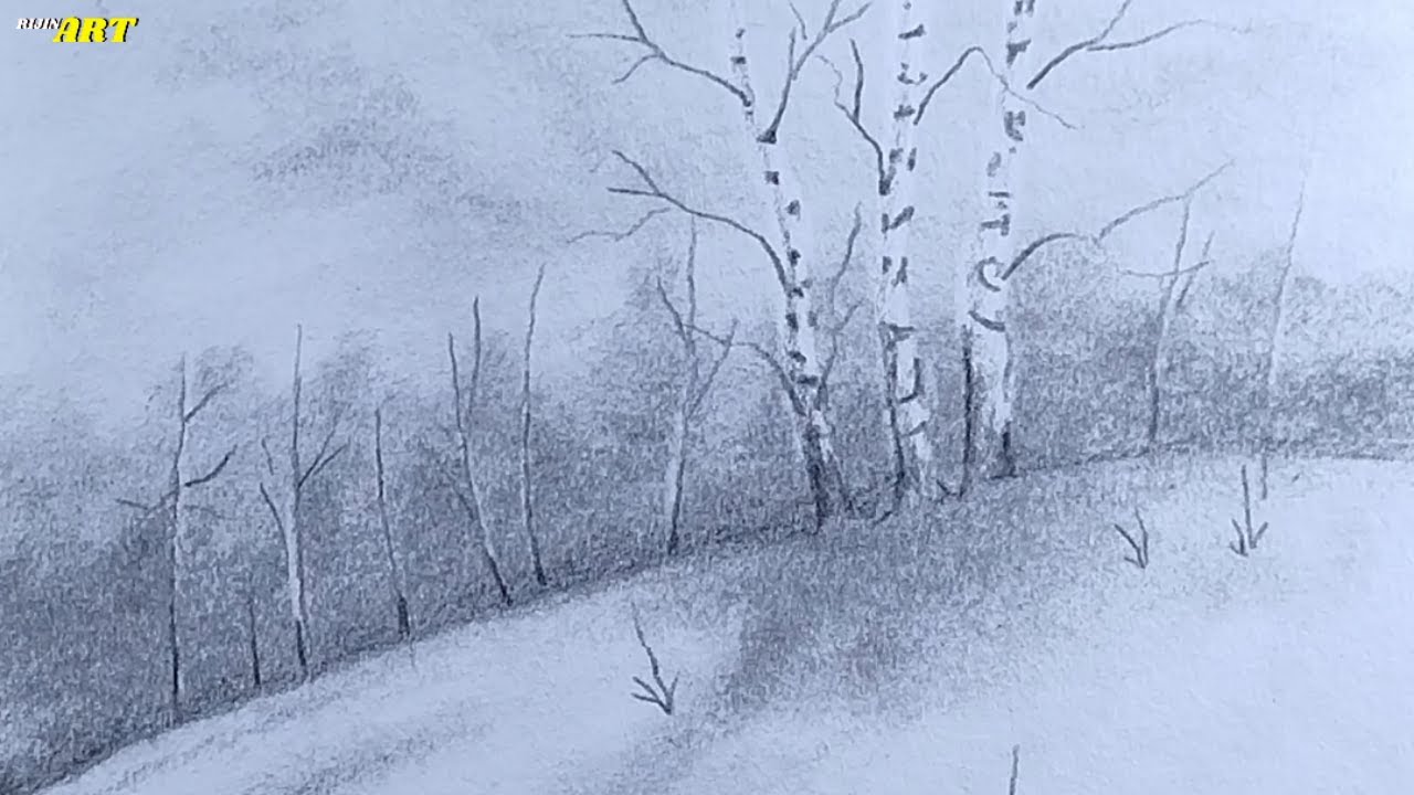 Birch tree landscape drawing for beginners drawing with pencil - YouTube