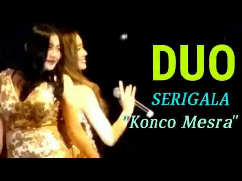 Duo Serigala | KONCO MESRA (official live lamongan)