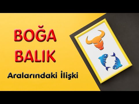 BOĞA BALIK ARALARINDAKİ İLİŞKİ NEDİR? UYUMLU MU? UYUMSUZ MU?HEPSİNİN CEVABI TAROT FALINDA