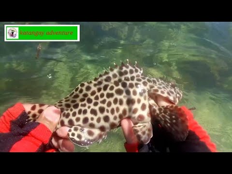 Ep#14 UL mavllos Naka Bingwit din ng pang uLam shore casting Palawan ...