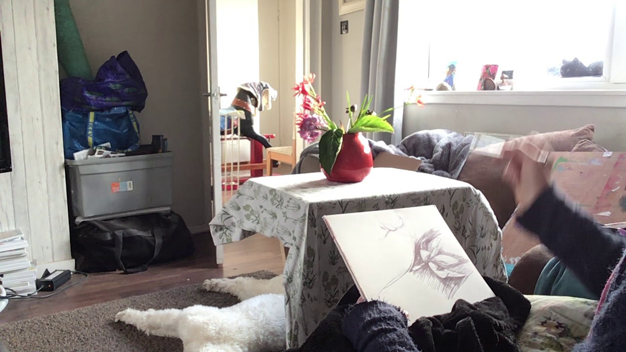 Biro flower drawing....Ann’s flowers - YouTube