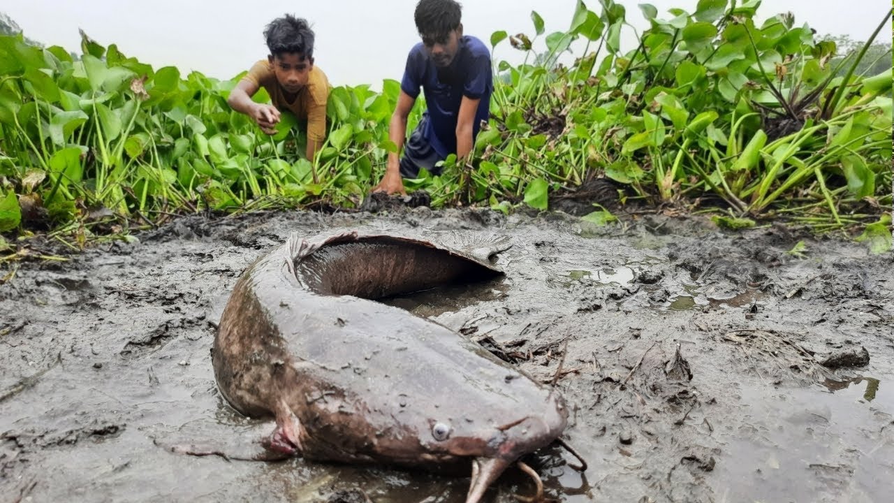 Unique Hand Fishing Method 2025. Village 2 Boys Catching Big Fish By ...