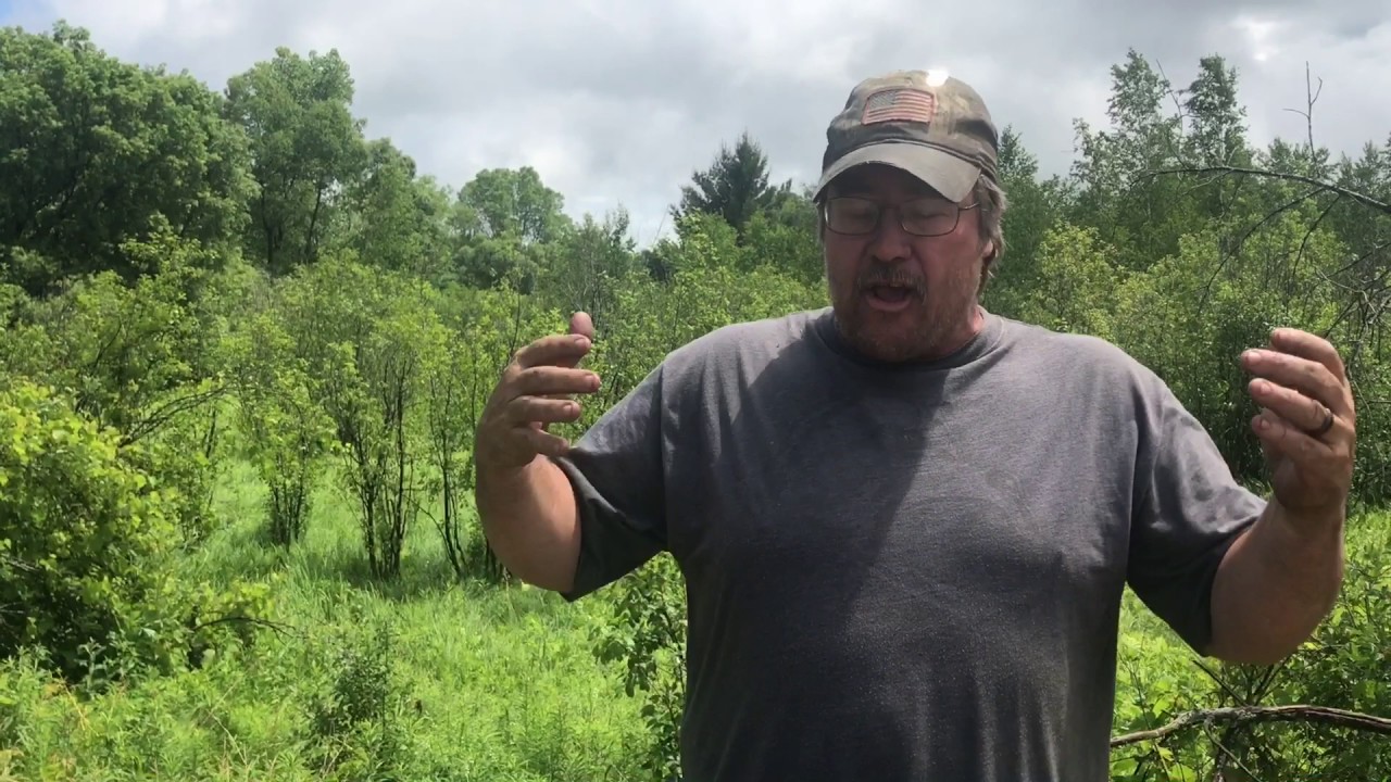 Introducing the Side Shot Scope Cam - YouTube