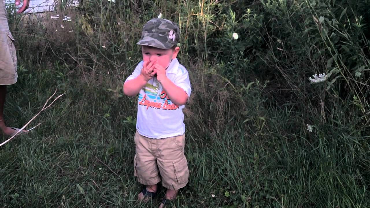 Sour Apple Kid - YouTube