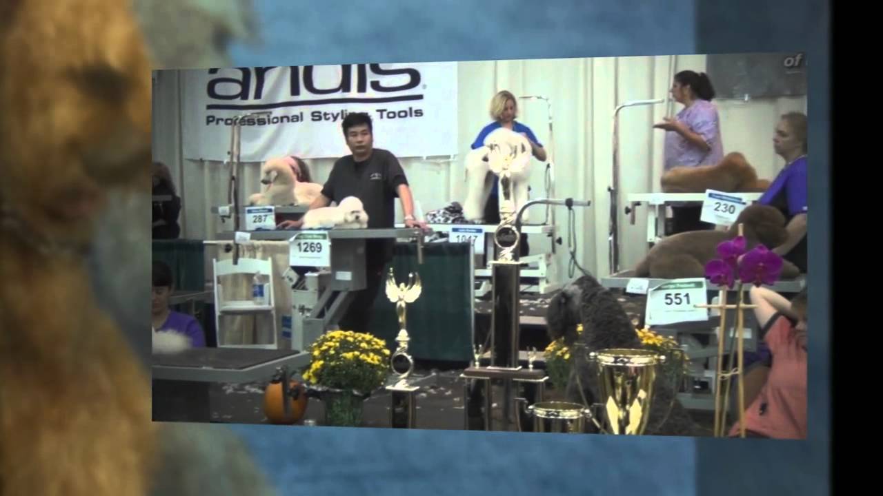 Super Zoo and Groom Expo 2012 - YouTube