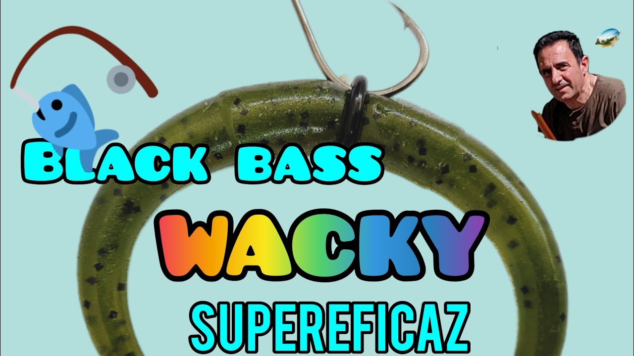 🪱WACKY MONTAJE SÚPER EFICAZ FÁCIL E INFALIBLE TÉCNICA DE VINILO PARA ...