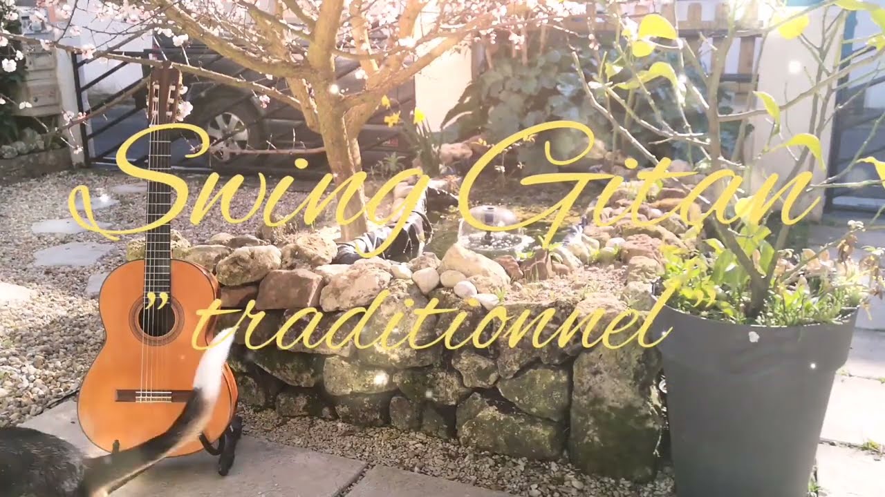 Swing Gitan - Traditionnel 🦔 - YouTube