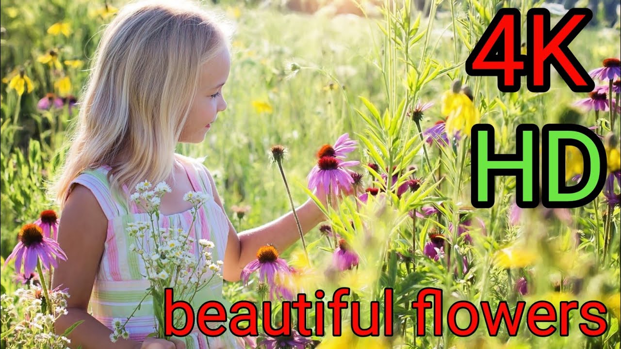 Beautiful Flowers 4K 60fps HDR (ULTRA HD) Flower video/4k TV - YouTube