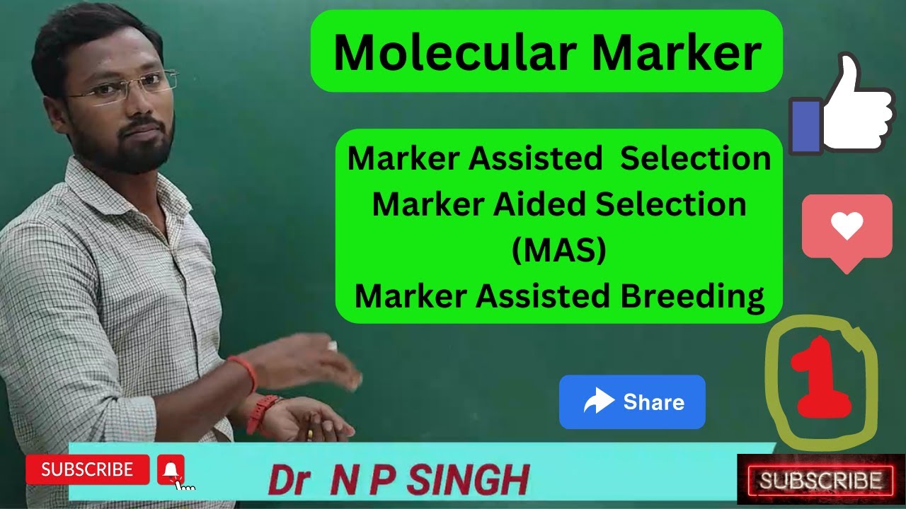 Marker assisted selection #MARKERASSISTEDSELECTION #molecular_biology # ...